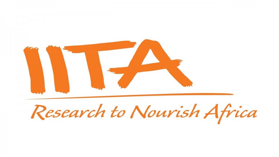 IITA Research Grant