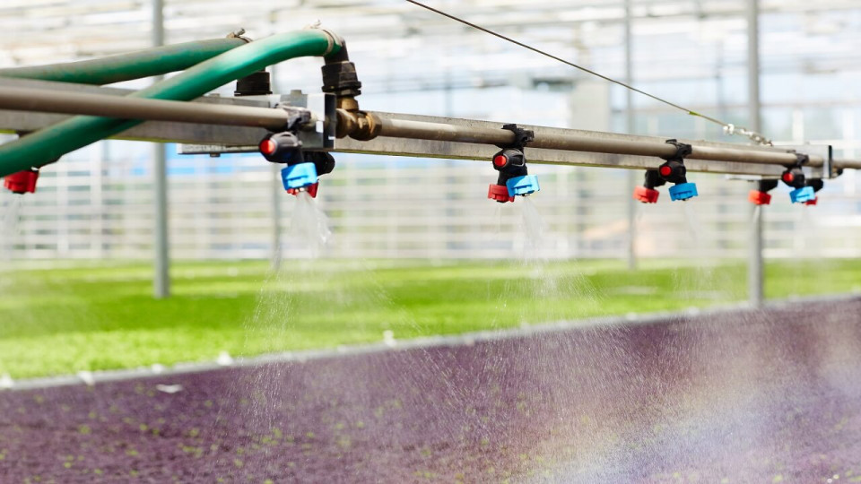 Agriculture Irrigation Systems: Types, Benefits and Selection Guidelines
