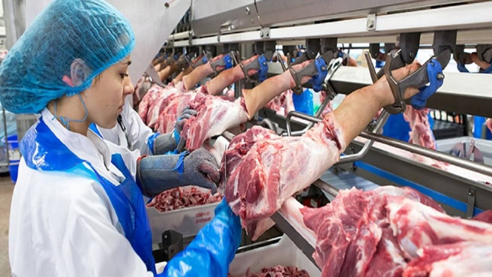 How a pork processing plant is setup