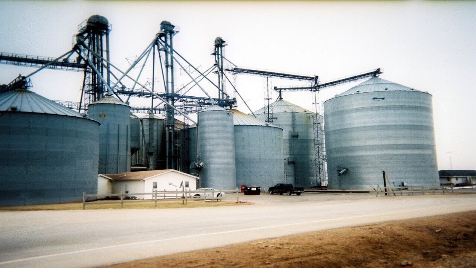 Cassava Harvesting and Processing