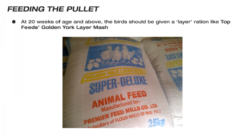 Layer Production Management